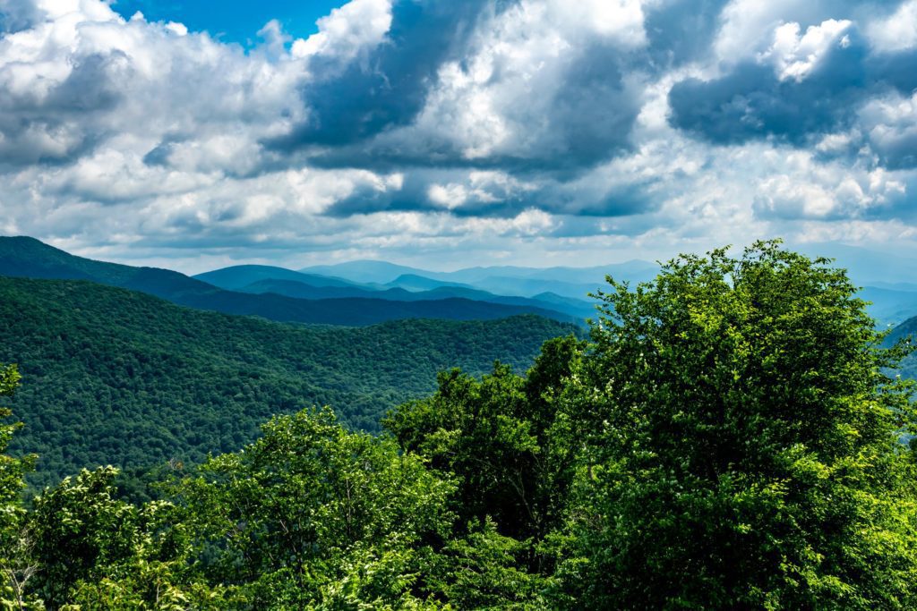 About Wolf Laurel - Mountain Laurel Team | Wolf Laurel Resort